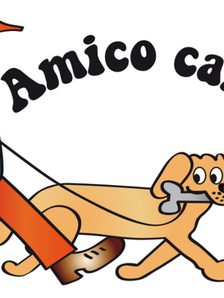 Al via il corso "Corretta gestione e controllo del cane" dell ...